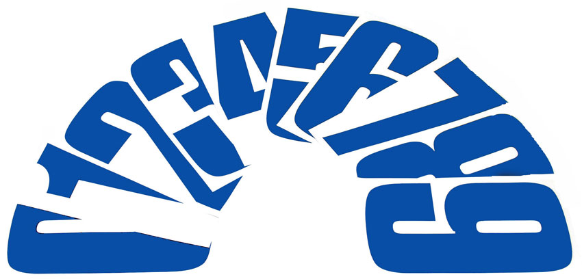 8 Inch Blue Race Numbers